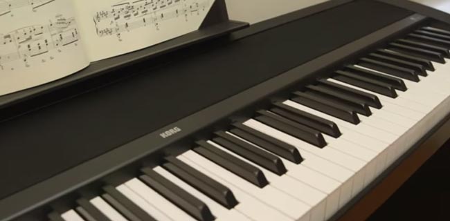 Digital Piano Korg B1 - Rückblick. Ist es eine gute Option?