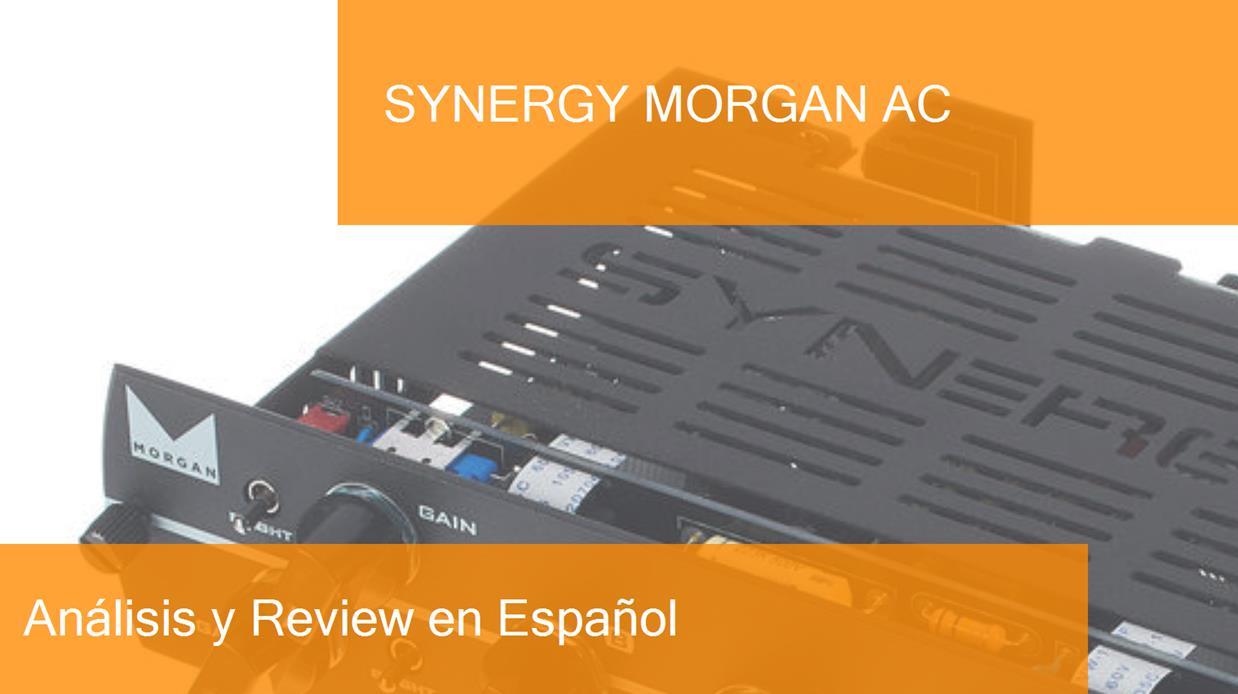 Review Previo de Guitarra Synergy Morgan AC. ¿Dónde Comprarlo?
